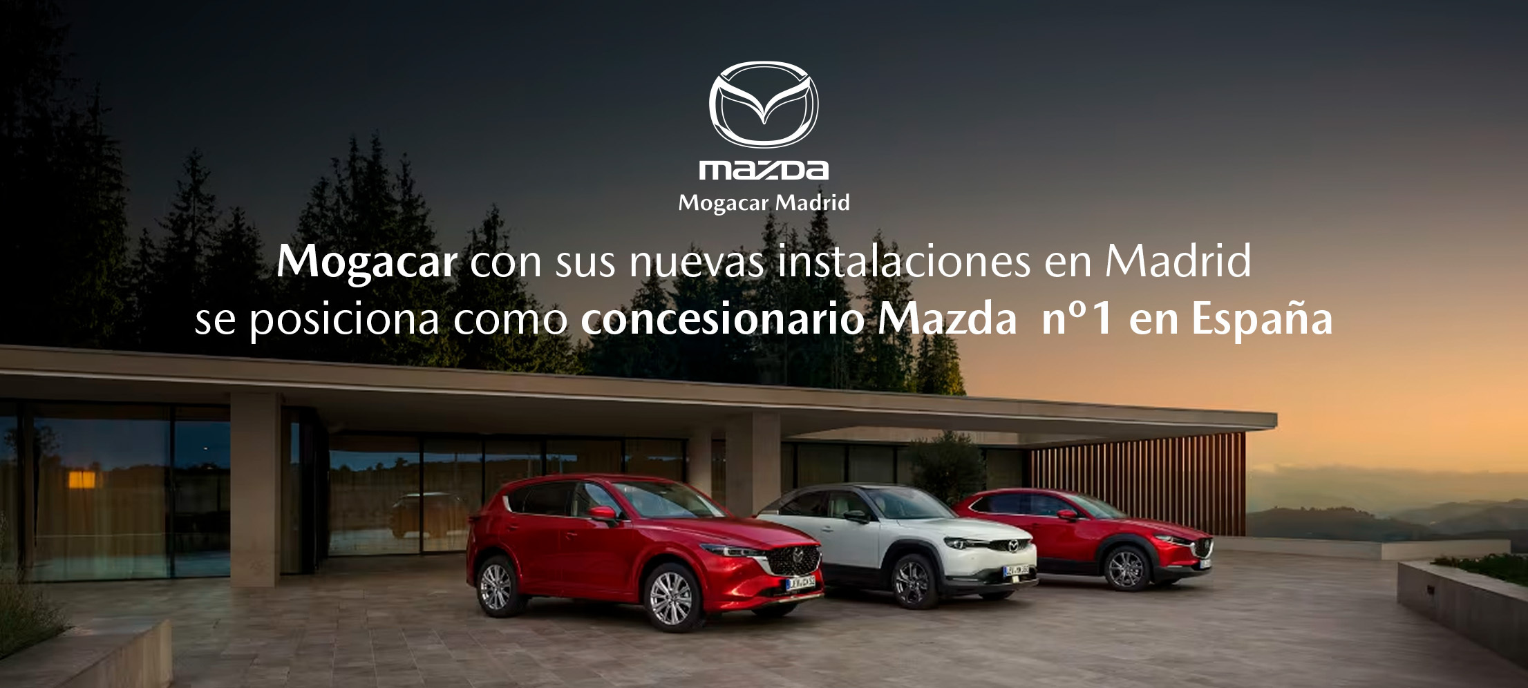 Mogacar se expande en Madrid con tres nuevos puntos de venta y dos ...